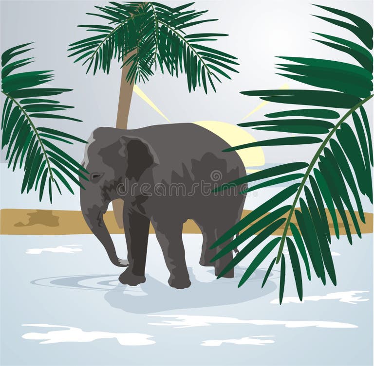 Elephant Walk Stock Illustrations – 2,174 Elephant Walk Stock ...
