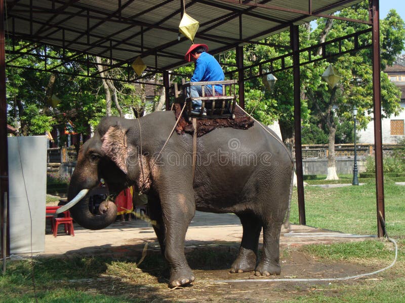 827 Communist Hat Stock Photos - Free & Royalty-Free Stock Photos from ...