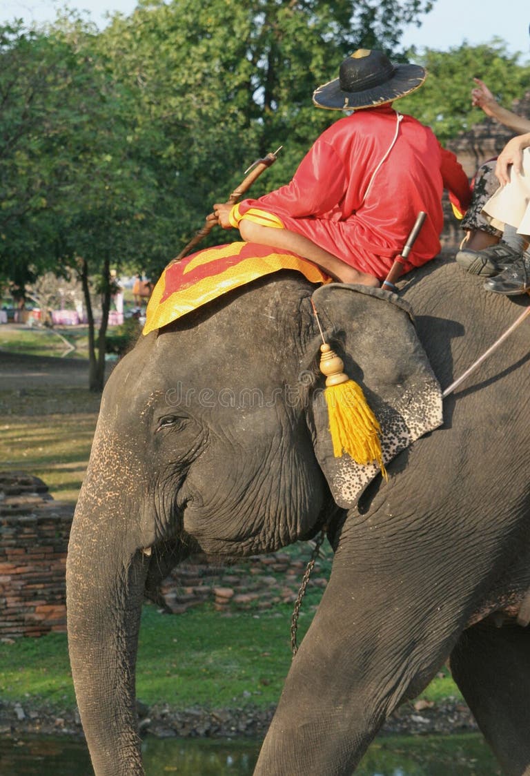 1,053 Man Riding Elephant Stock Photos - Free & Royalty-Free Stock ...