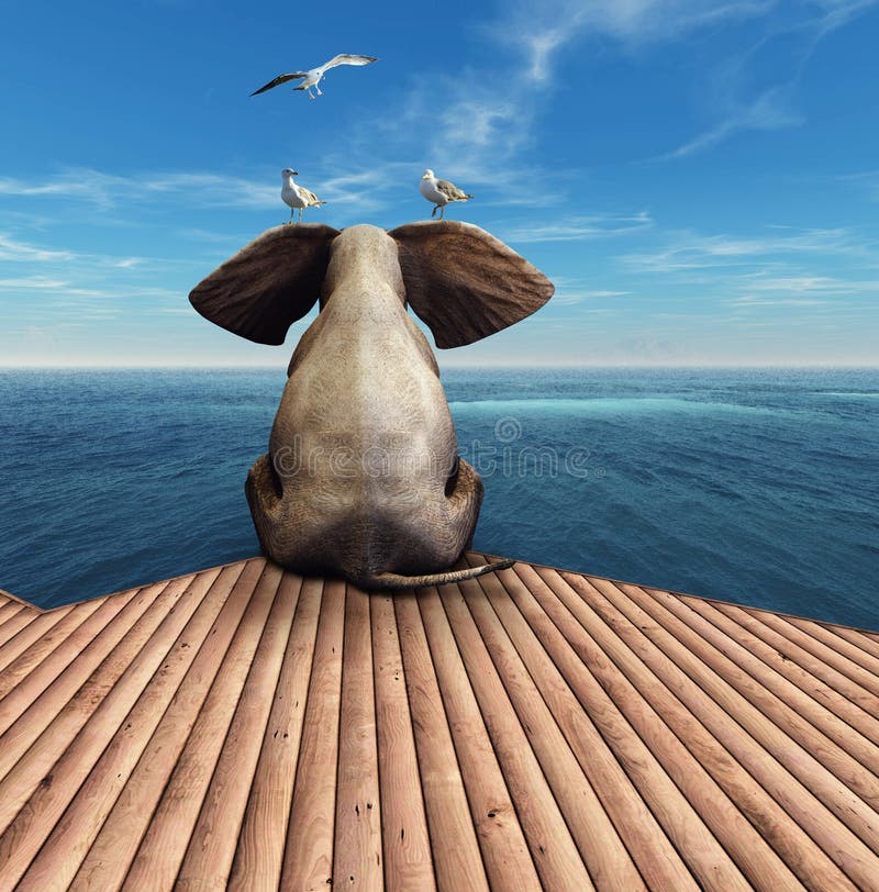 Elephant Admiring the Ocean Stock Photo - Image of animal, resort ...