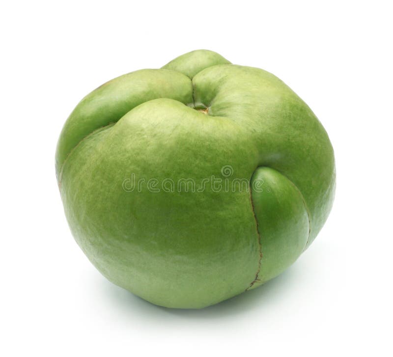 Elephant apple stock image. Image of sour, fruit, pickle - 15600017
