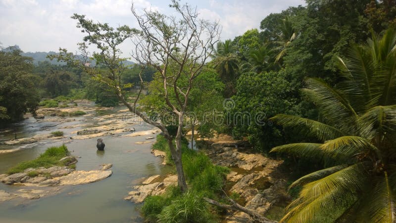 Mawanella Stock Photos - Free & Royalty-Free Stock Photos from Dreamstime