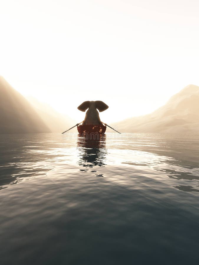 Elephant in a boat stock photo. Image of happiness, river - 150586456