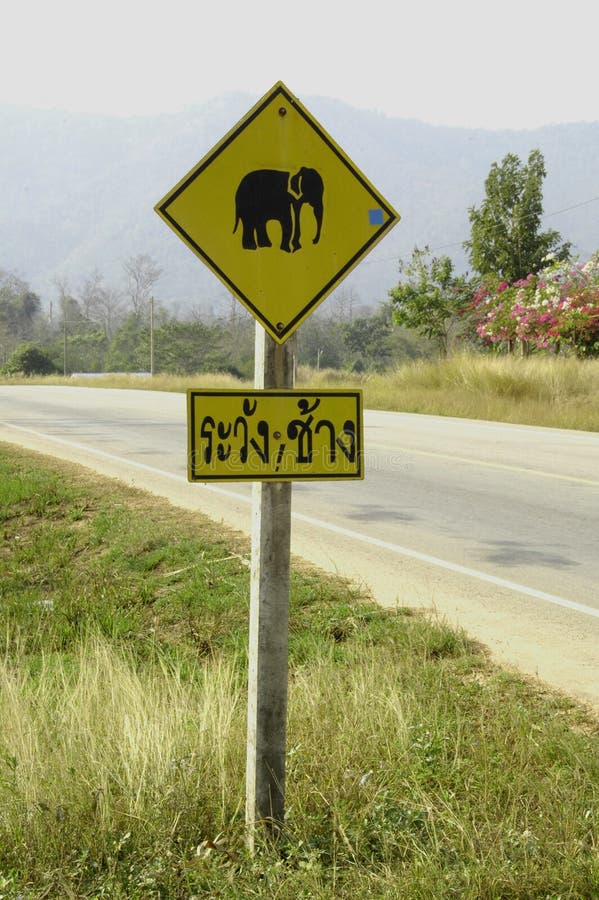 Elephant Crossing sign stock image. Image of travel, indication - 26942425