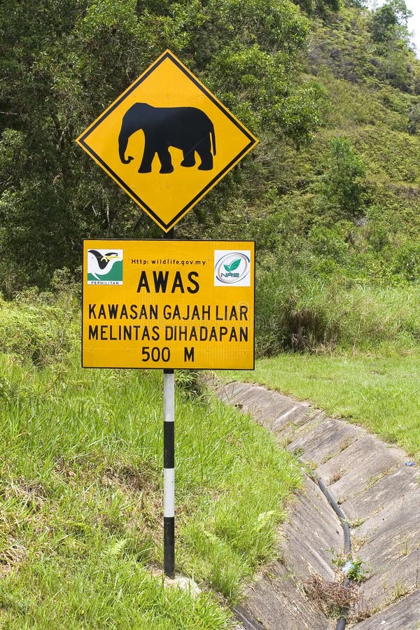 Elephant Crossing Road Sign Stock Photos - Free & Royalty-Free Stock ...