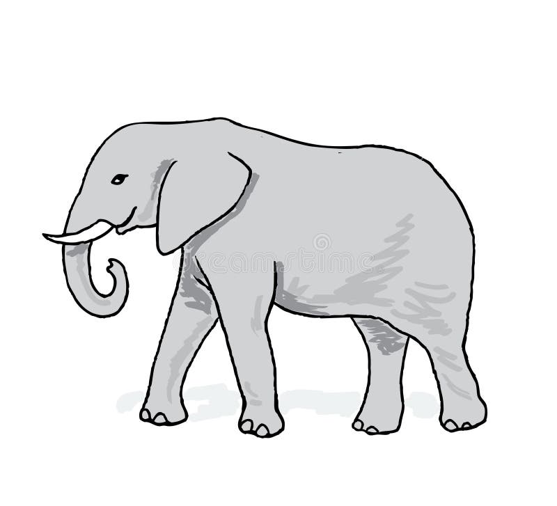 Elephant drawing stock vector. Illustration of wild, wildlife - 24422135