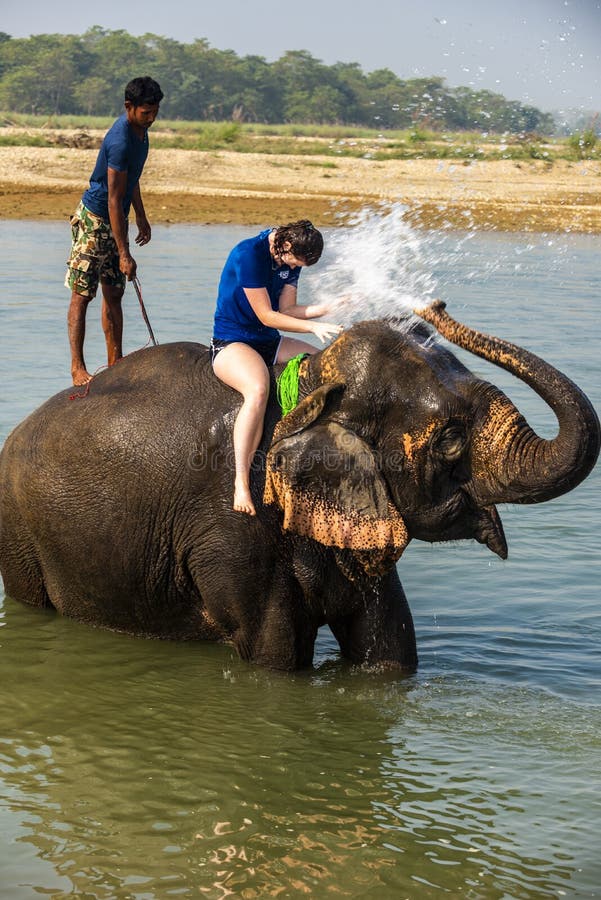 Elephant Drivers in Nepal. Chitwan National Park. 22 December 2017 ...
