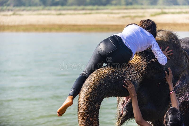 Elephant drivers in Nepal stock image. Image of chiang - 148964173