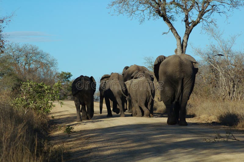 Ryan Lucke (Ryanlucke) - Photographer profile