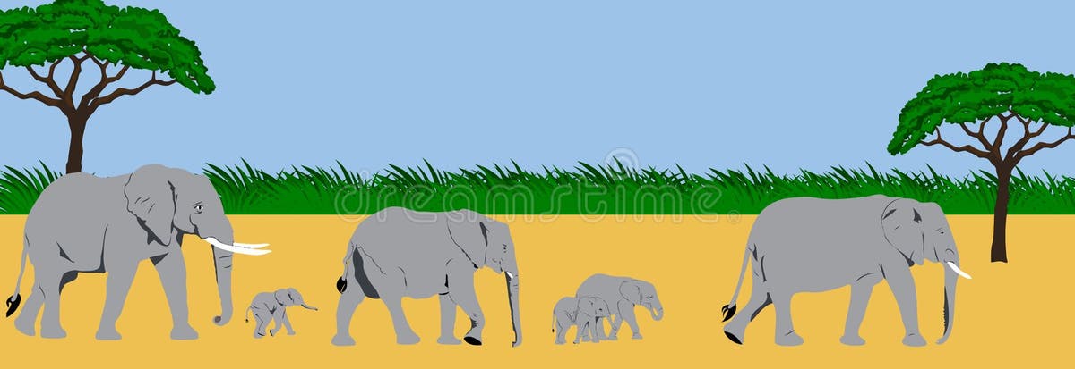 Elephant Walk Stock Illustrations – 2,174 Elephant Walk Stock ...