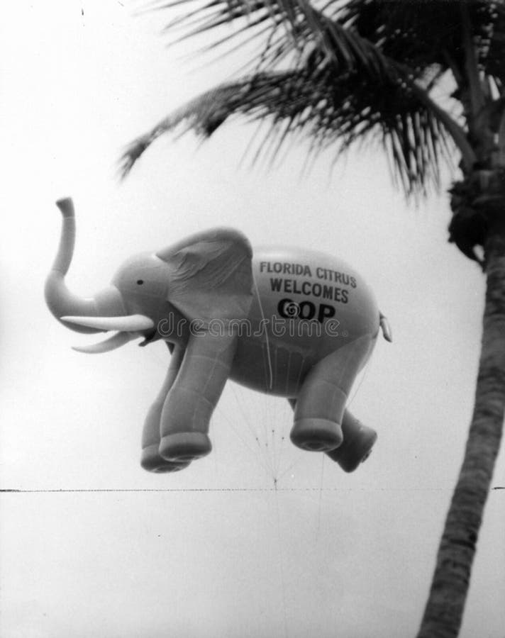 Elephant 'flies' Over The Convention Center - Miami Beach Picture ...