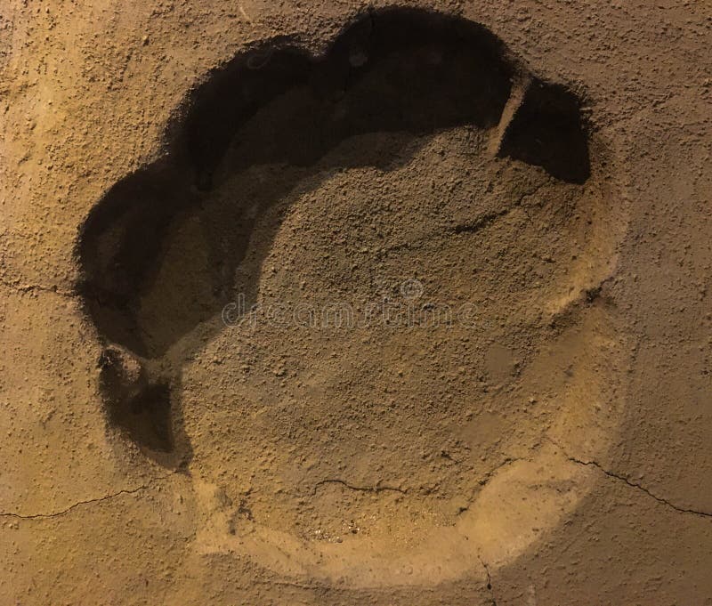 Elephant foot symbol stock photo. Image of giant, animal - 239779518