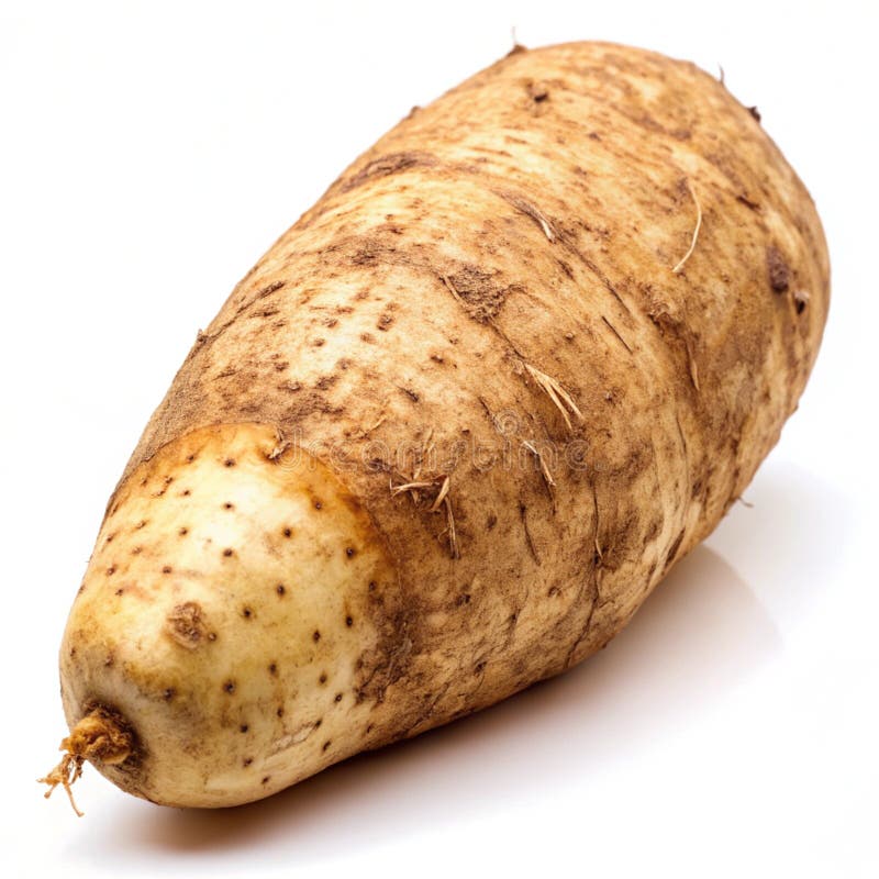 Elephant Foot Yam Isolated on White Background Stock Photo - Image of ...