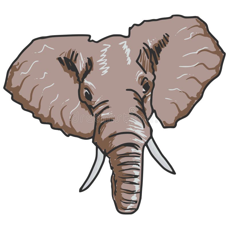 Elephant Teeth Clipart