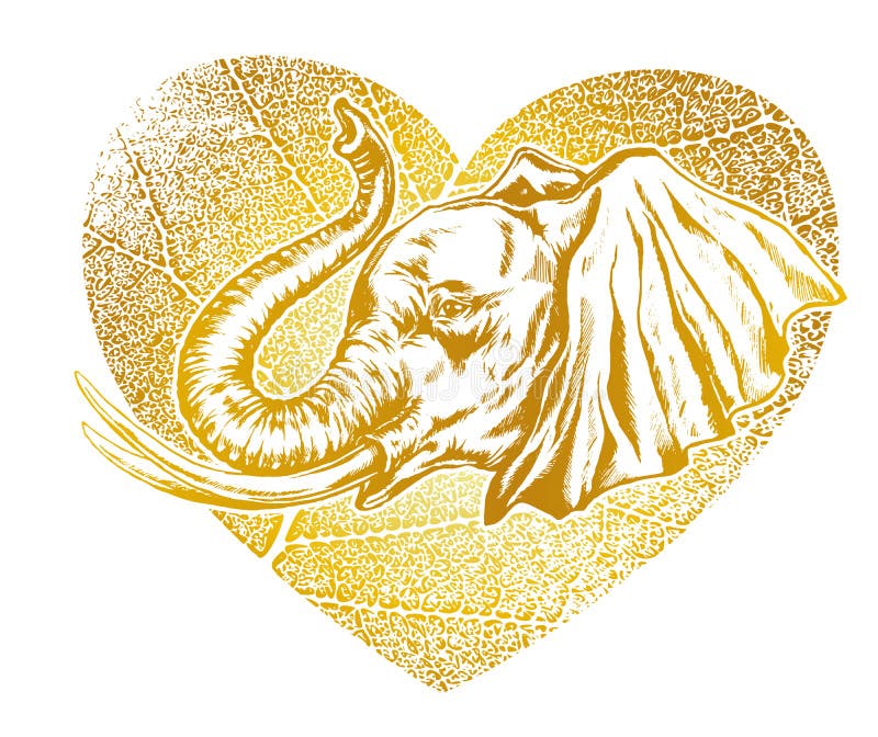 Elephant Head. Golden Silhouette of an Elephant S Head in Profile ...