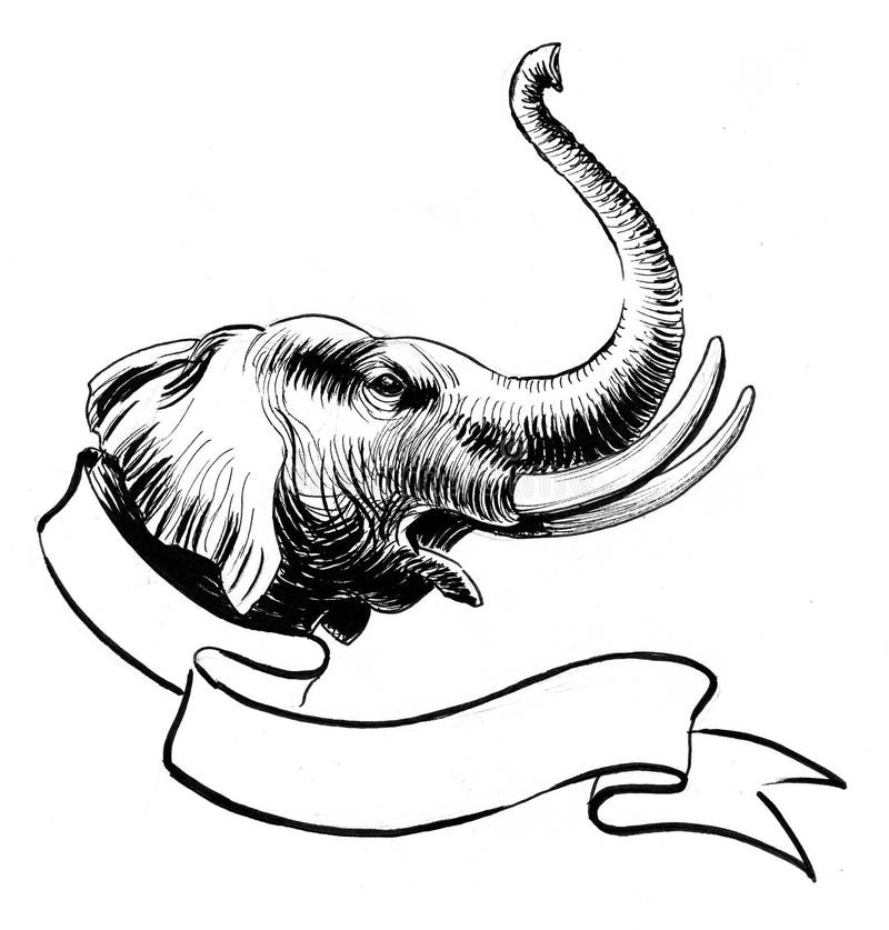 Elephant Teeth Clipart