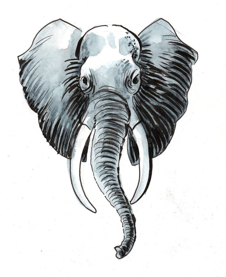 Elephant Head Watercolor Stock Illustrations – 327 Elephant Head ...