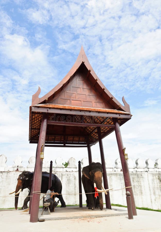 Elephant house stock image. Image of rural, ivory, herbivore - 23530943
