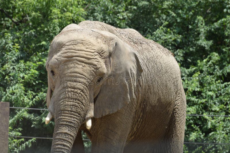 How Do I Change Background Stock Photos - Free & Royalty-Free Stock ...