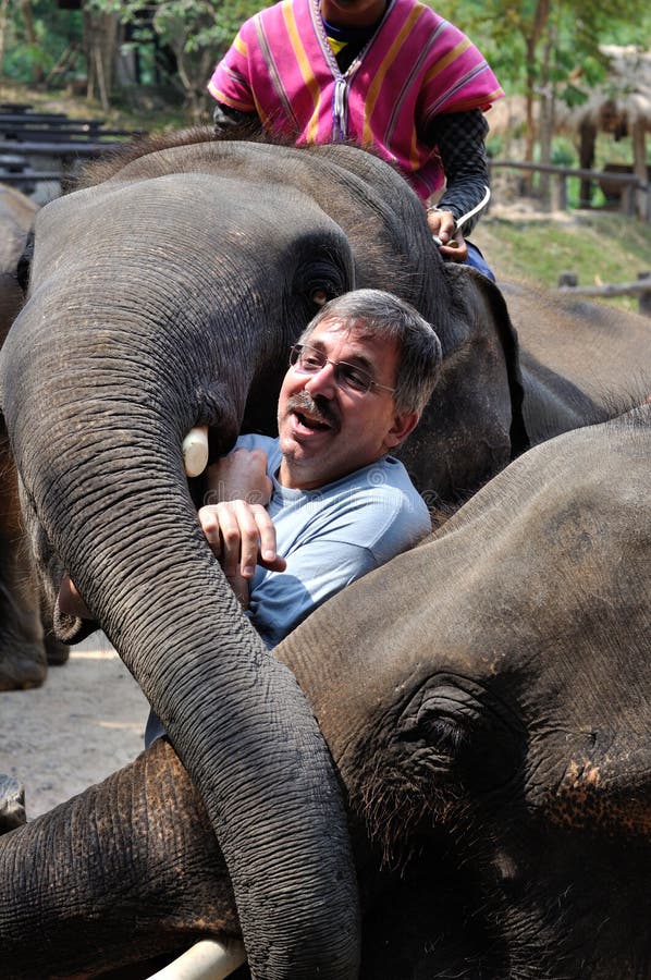 5+ Elephant hug Free Stock Photos - StockFreeImages