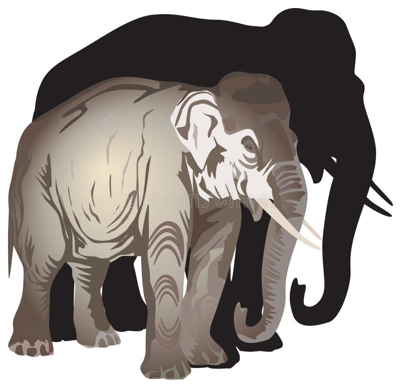 Elephant and Its Shadow Illustration Stock Vector - Illustration of ...