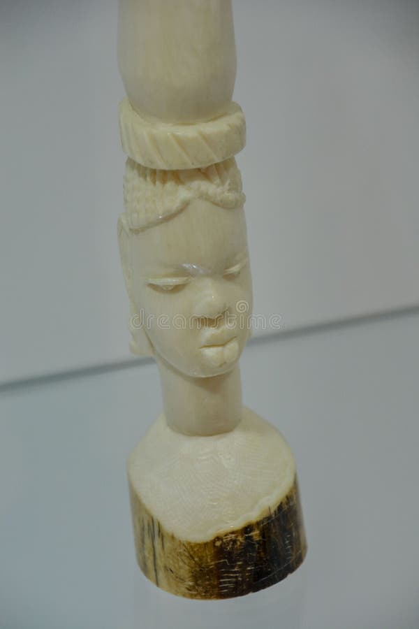 Elephant Ivory stock image. Image of elephant, tooth - 176859683