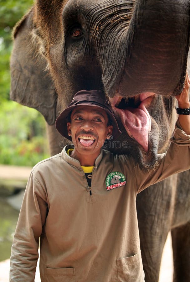 Elephant keeper editorial stock photo. Image of drops - 4215923