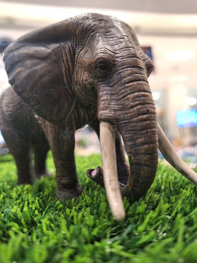 Elephant& X22;: is the Largest Land Mammal in the World Stock Photo ...