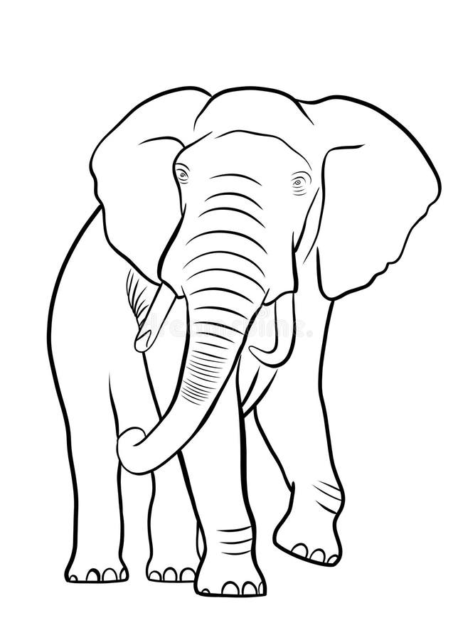 Elephant, Line Drawing, Design Element Stock Image - Illustration of ...