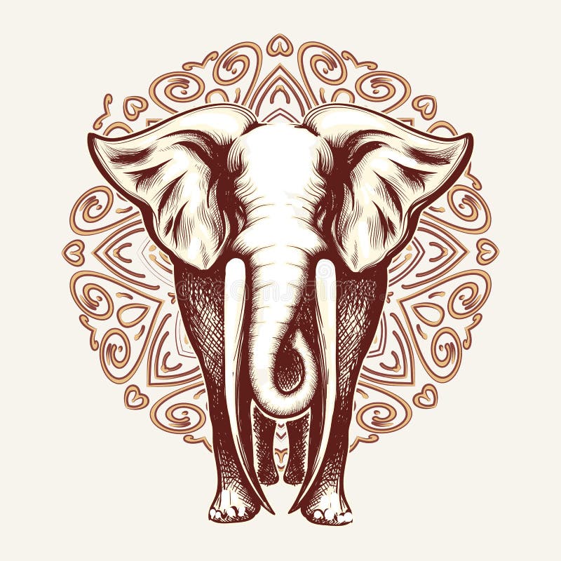 Elephant on Mandala Background Stock Vector - Illustration of element ...