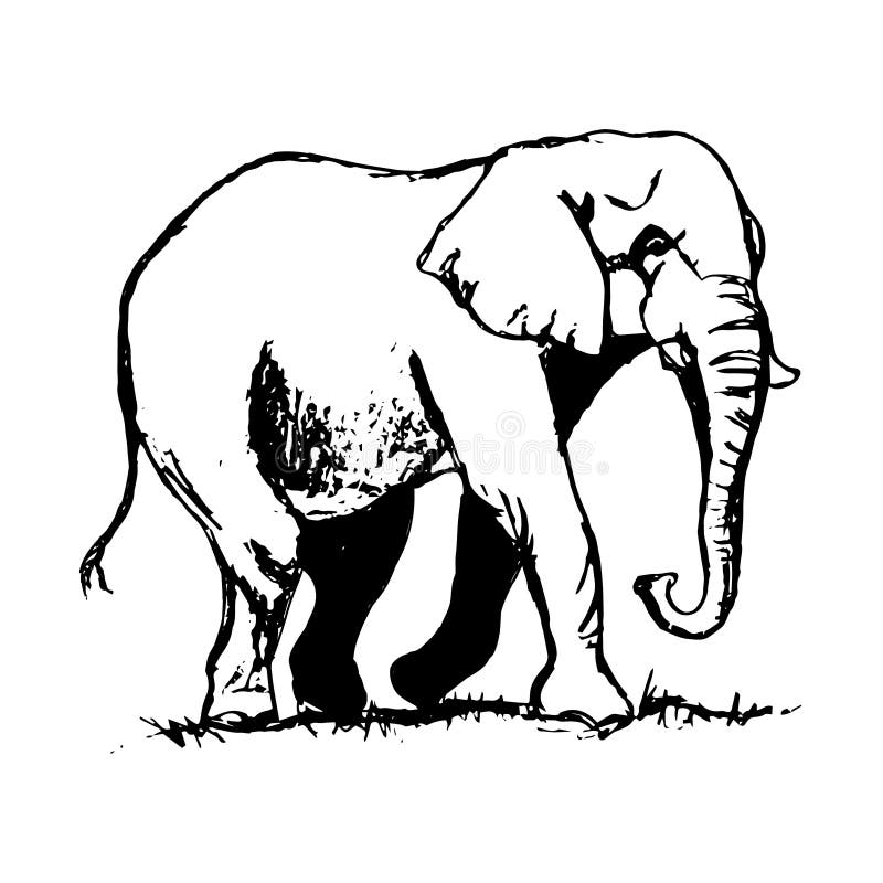 Elephant outline drawing stock vector. Illustration of nature - 70458617