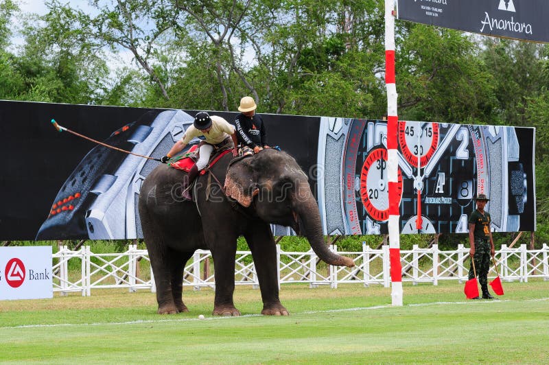 Elephant Polo editorial photography. Image of animal - 21073407