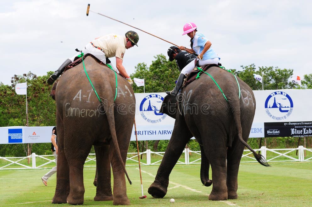 Elephant Polo editorial photography. Image of animal - 21073407