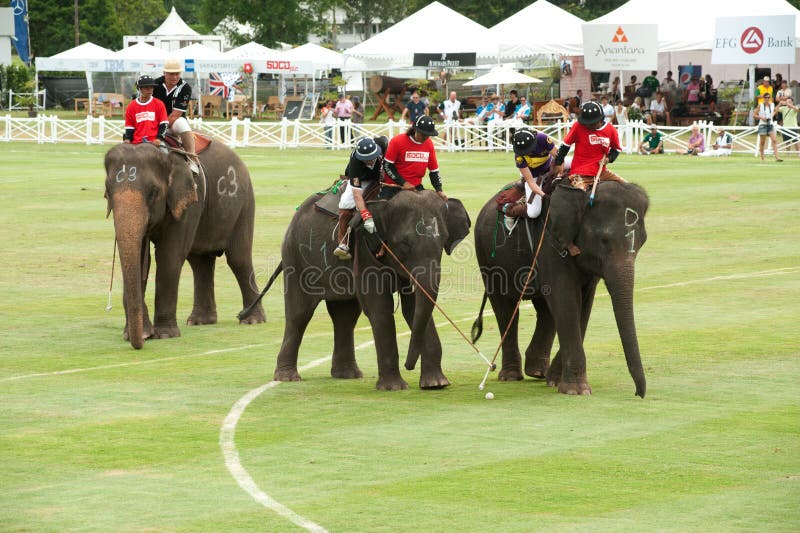 Elephant polo game. editorial stock image. Image of ride - 25776514