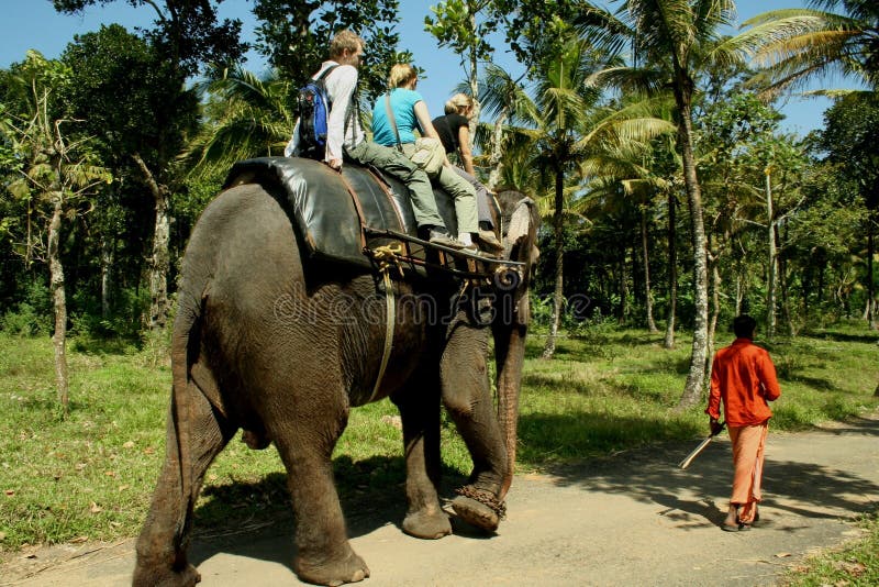 Elephant ride editorial photography. Image of excursion - 18514862