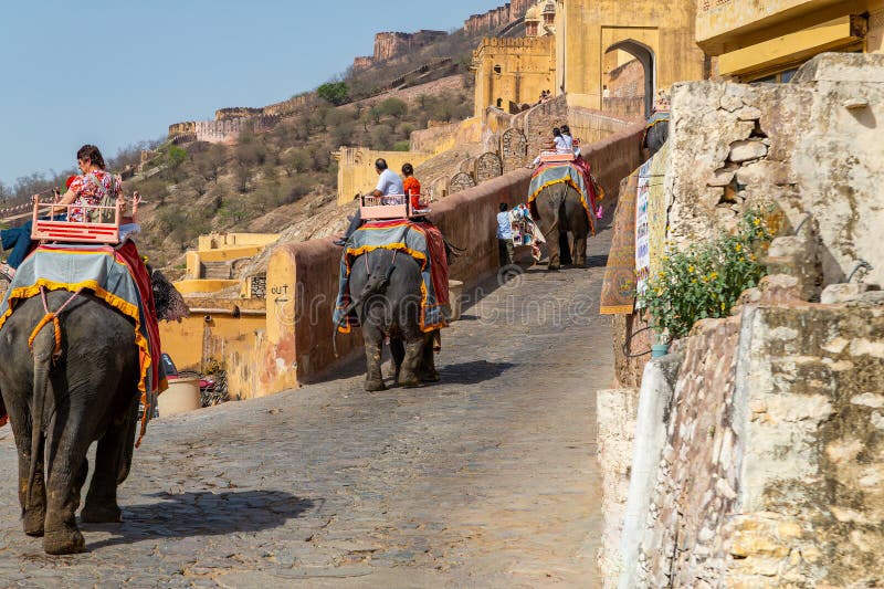 Elephant Ride at Amber Palace in Jaipur Editorial Image - Image of ...