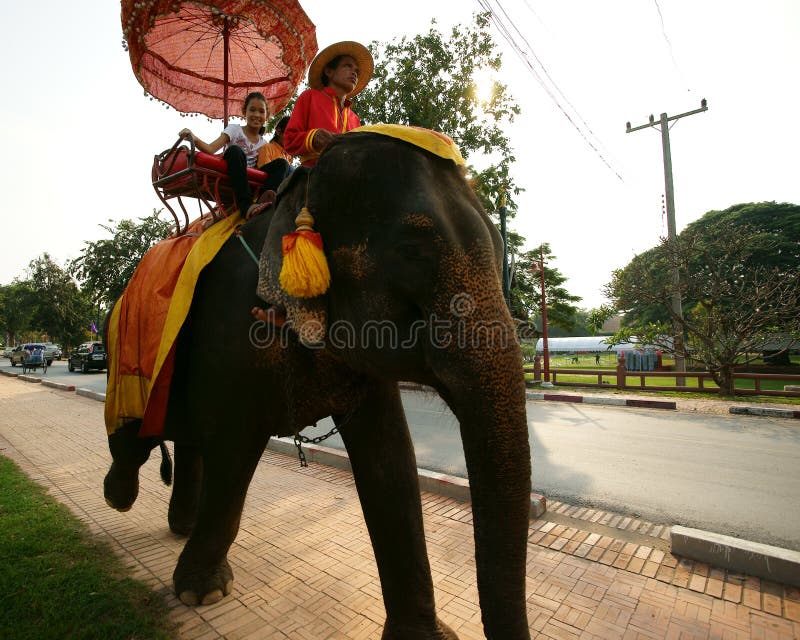 Elephant Ride, Ayutthaya, Thailand. Editorial Stock Photo - Image of ...