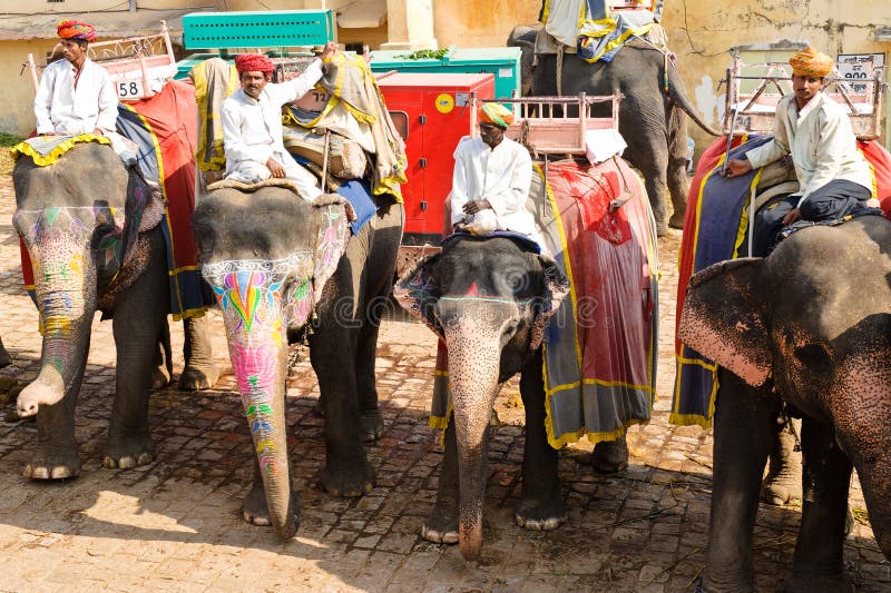 Elephant Ride in India editorial stock photo. Image of riders - 20155463