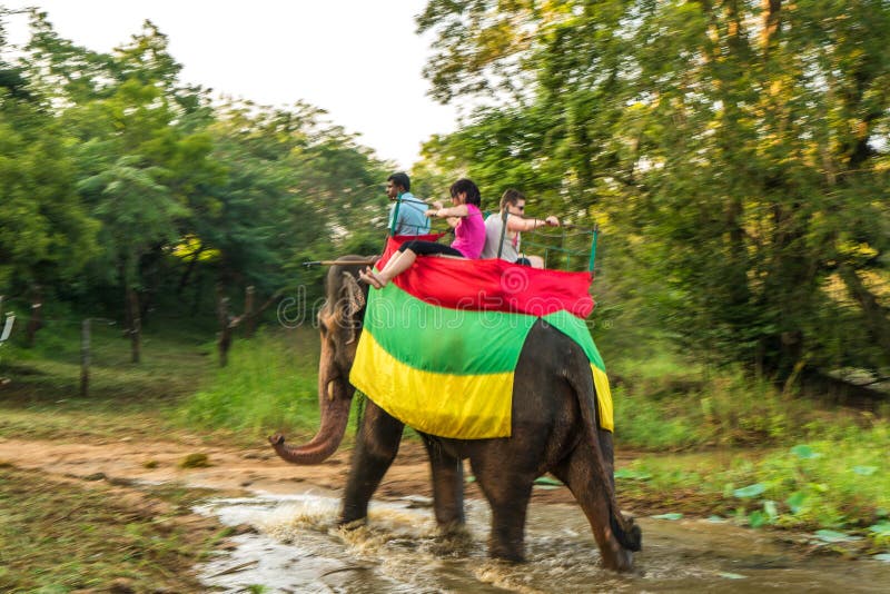 Elephant Ride, Sigiriya, Sri Lanka Editorial Photo - Image of pond ...