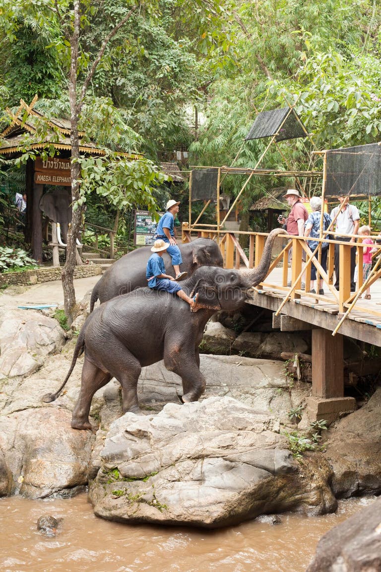 Elephant Rider Path Stock Photos - Free & Royalty-Free Stock Photos ...