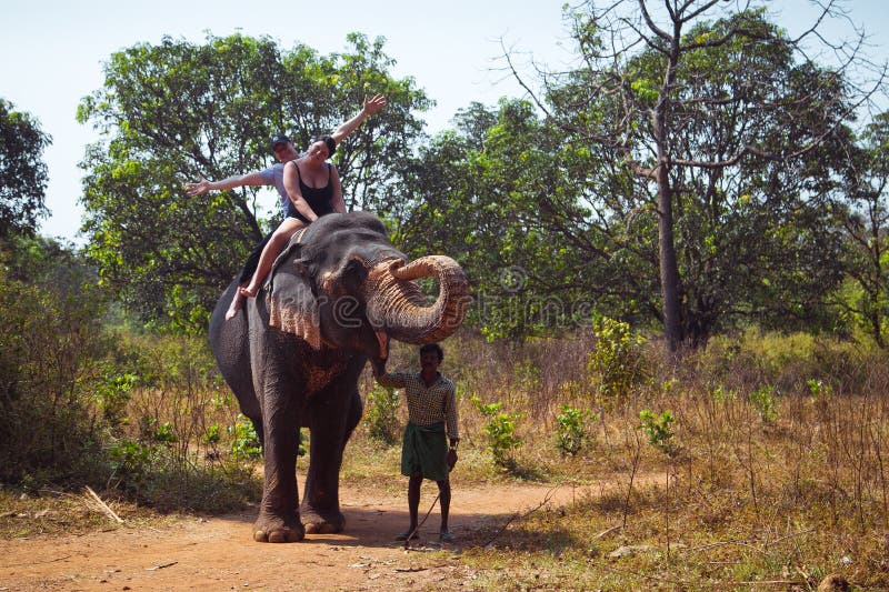 Elephant riding editorial stock photo. Image of funny - 51793728