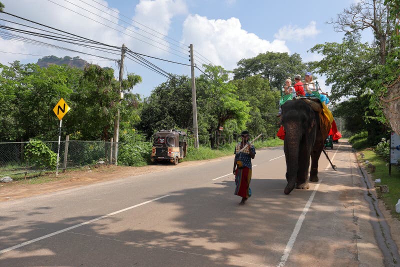 Elephant Riding in Sri Lanka Editorial Image - Image of asian, asia ...