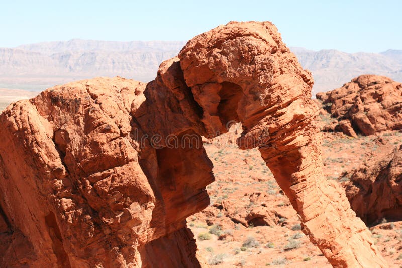Elephant Rock, Valley of Fire, Nevada Stock Image - Image of america ...