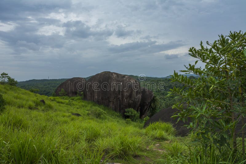 Elephant Rock Viewpoint stock photo. Image of green - 240022670