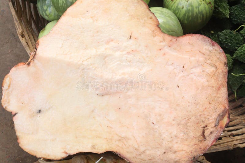 Elephant root yam on shop stock image. Image of tree - 349003137