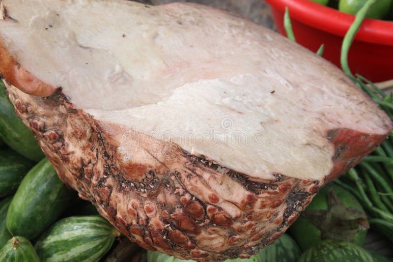 Elephant root yam on shop stock photo. Image of tropics - 349003174