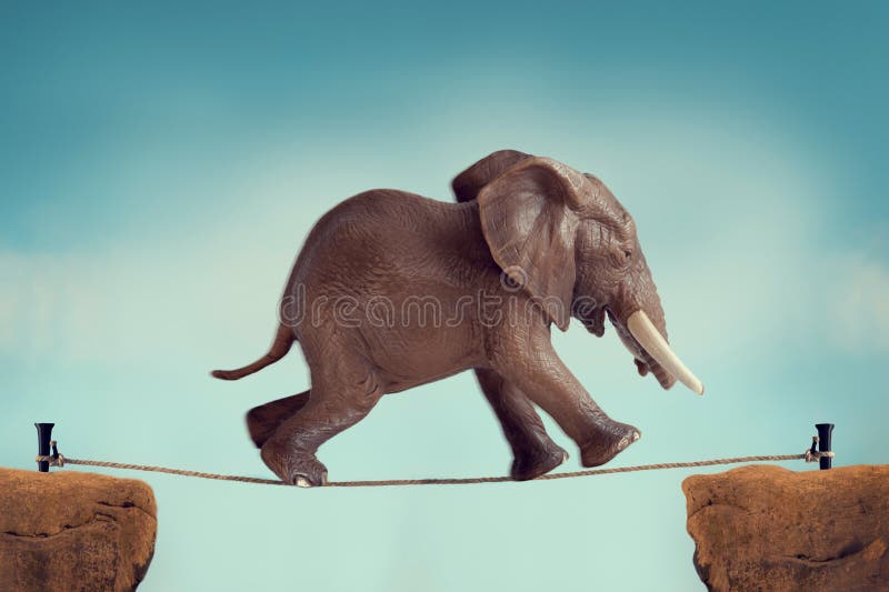 An Elephant on the Running Track Stock Photo - Image of wild ...