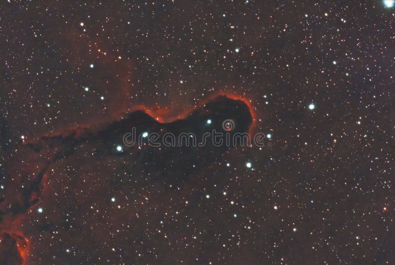 Elephant S Trunk Nebula (IC 1396A) in the Constellation Cepheus Stock ...