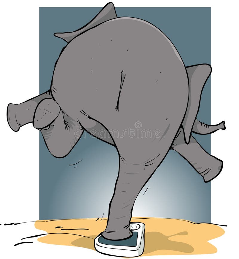 Overweight elephant stock vector. Illustration of rotund - 44924790
