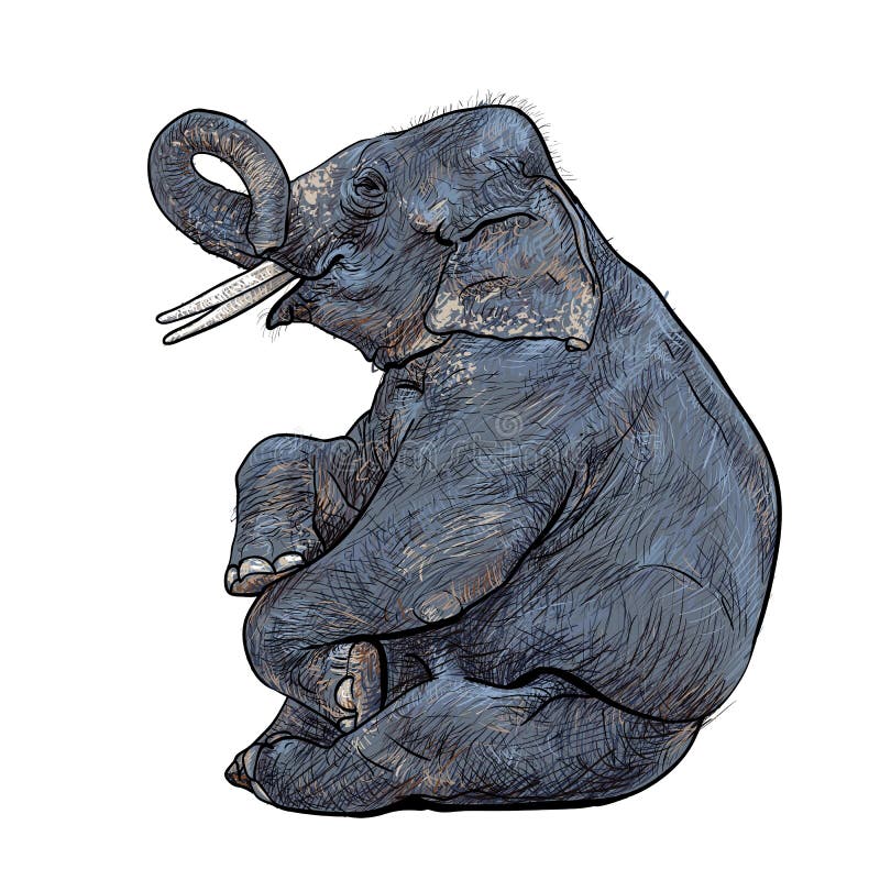 Elephant Show and Training with Mahout Stock Vector - Illustration of ...